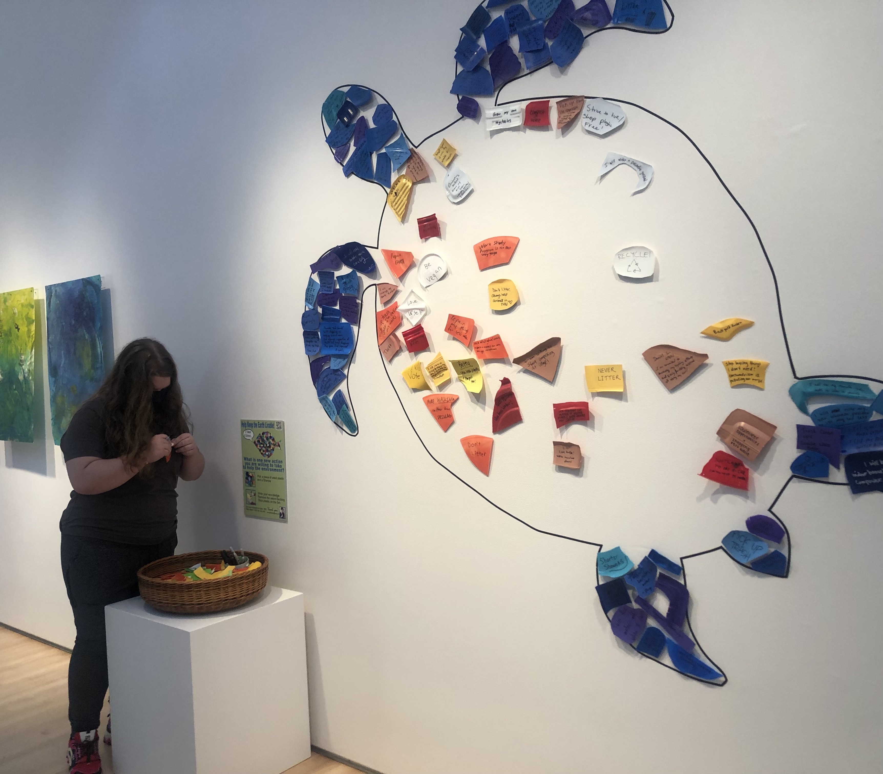 2023 Newsletter – The Snowball Effect Project